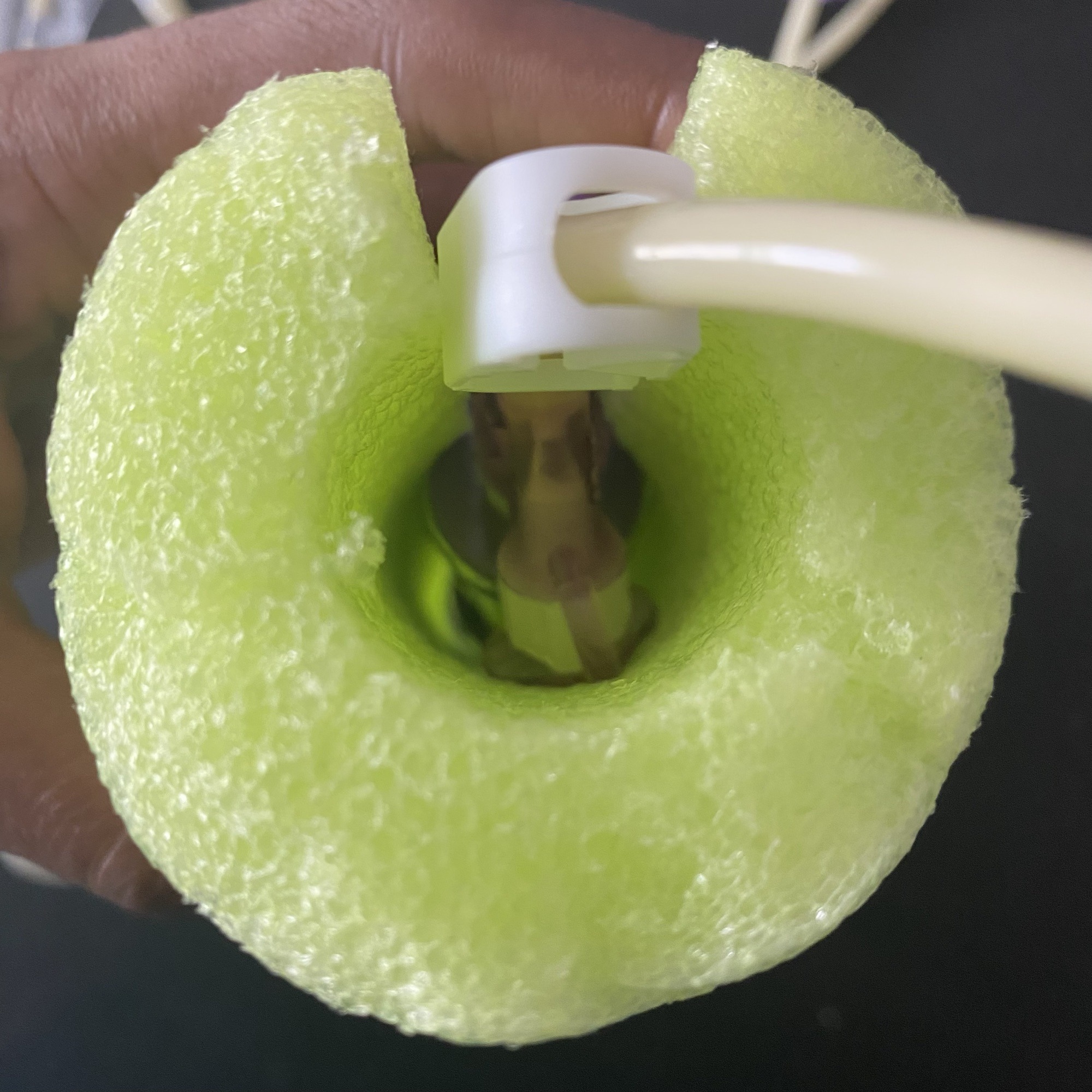 Seven Instructive Tips To Secure G-Tube Feeds For Bedtime