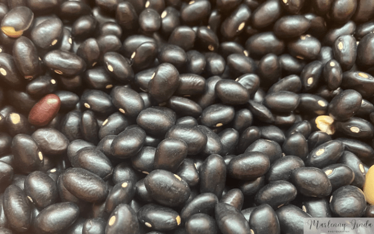 How To Make The Spookiest Halloween Sensory Bin This Fall