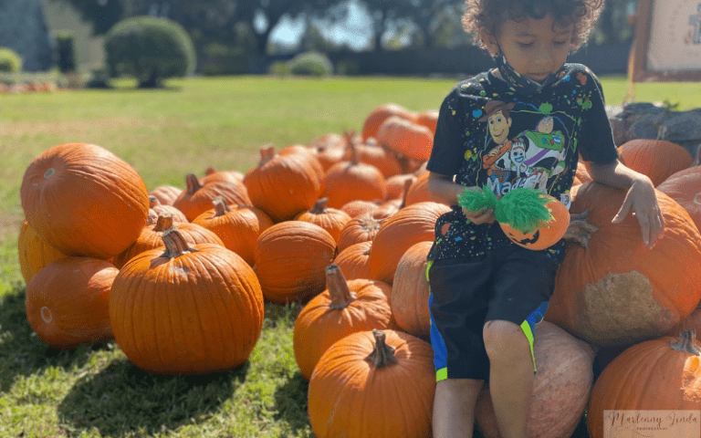 Affordable and Easy DIY Halloween Activities For Kids!